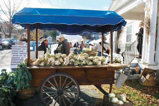 The ‘Gilfeather’ Turnip: A Vermont Heirloom Variety – Mother Earth Gardener